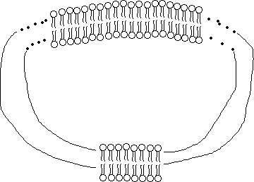 Biology Hypertextbook Biology Hypertextbook