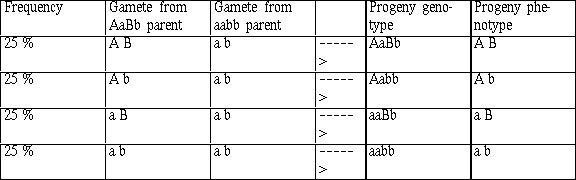 Biology Hypertextbook Biology Hypertextbook